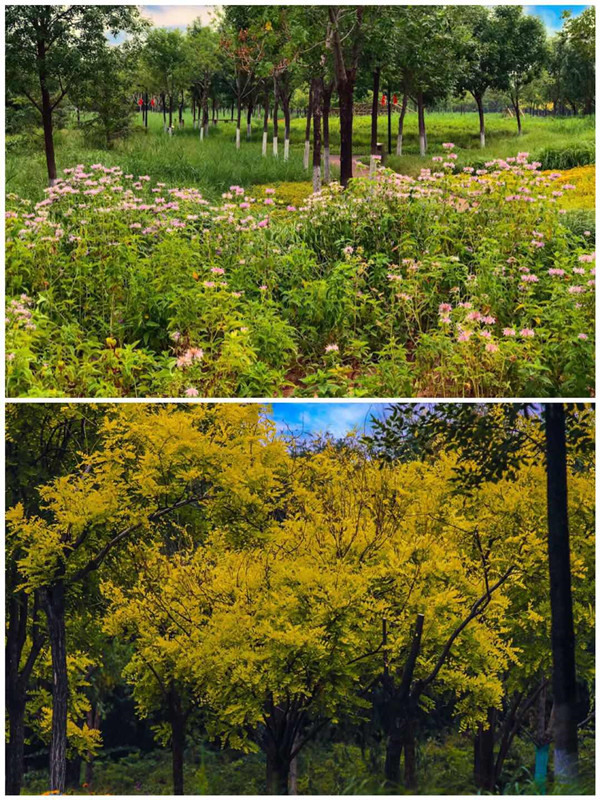 Experiencing China's ongoing environmental improvements-津云APP